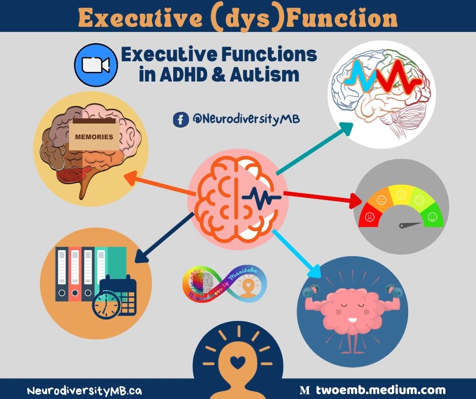 Executive Functions Webinar